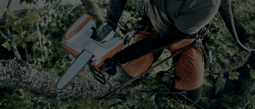 Fort Worth Tree Location Survey Services | Treenewal