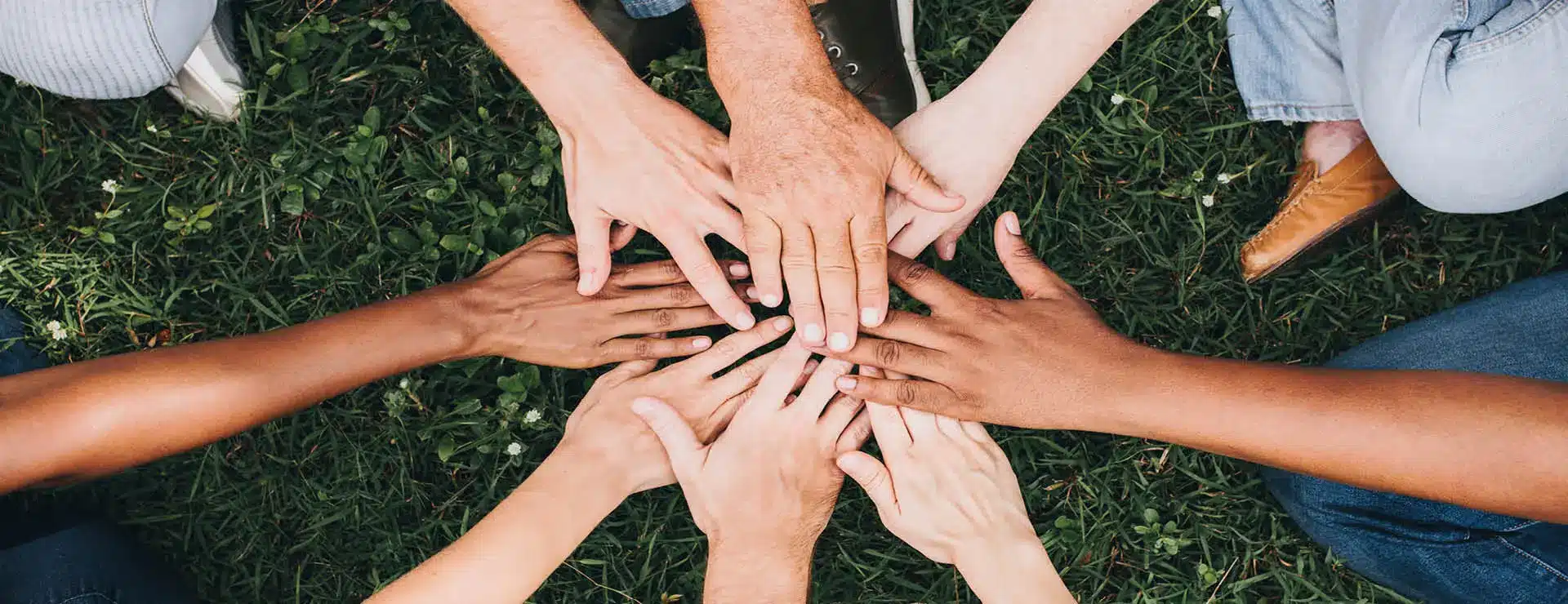 Community Involvement | TreeNewal | ISA Certified Arborist