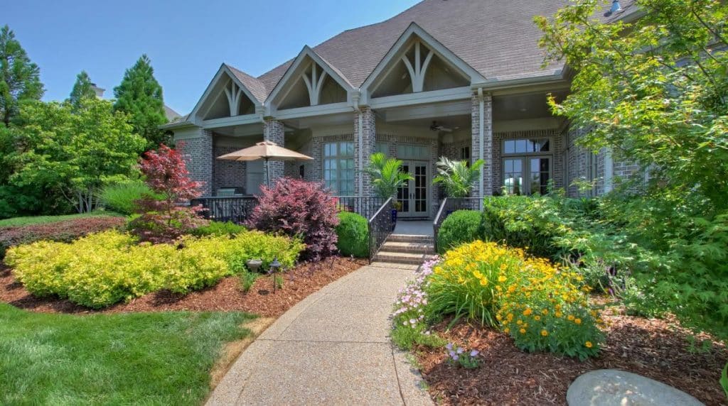 Types of Oak Trees in Texas | Oak Trees in Texas