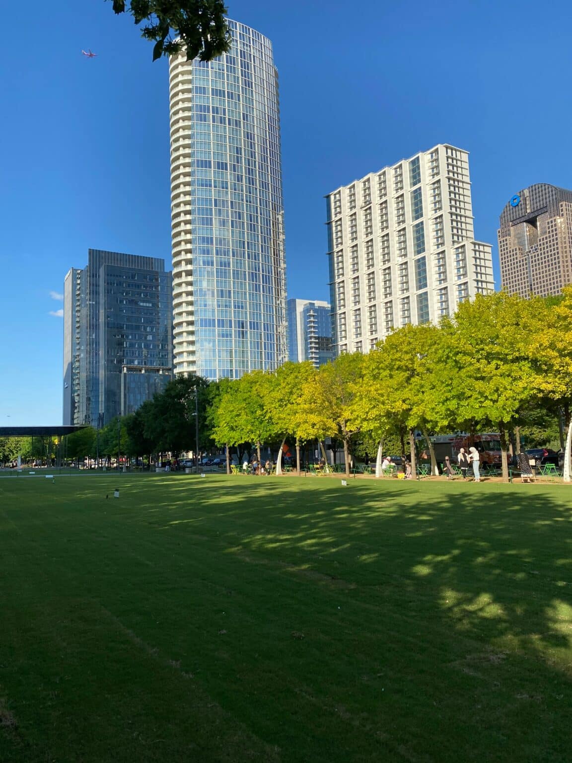 How to Rescue an Overwatered Tree: A Comprehensive Guide | TreeNewal