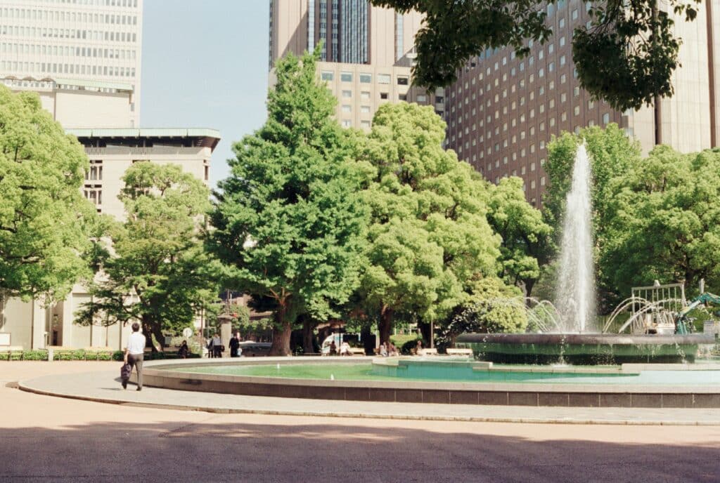 6 Myths & the Truth About Tree Roots: Debunking Common Misconceptions